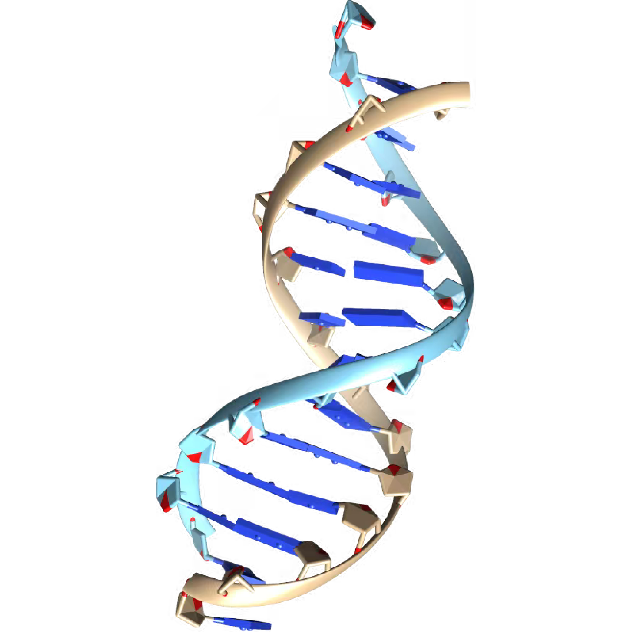 AmbiGen 安必进生物